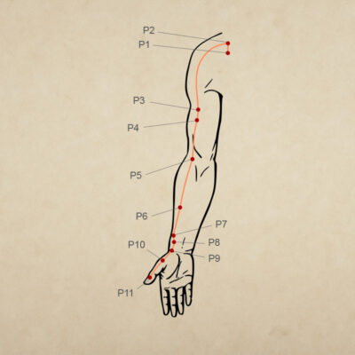 The Lung Meridian in TCM | Chi Flow, Breathing & Health | 8-Chi